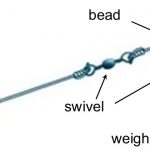 Fishing With Bait | Pikeminnow